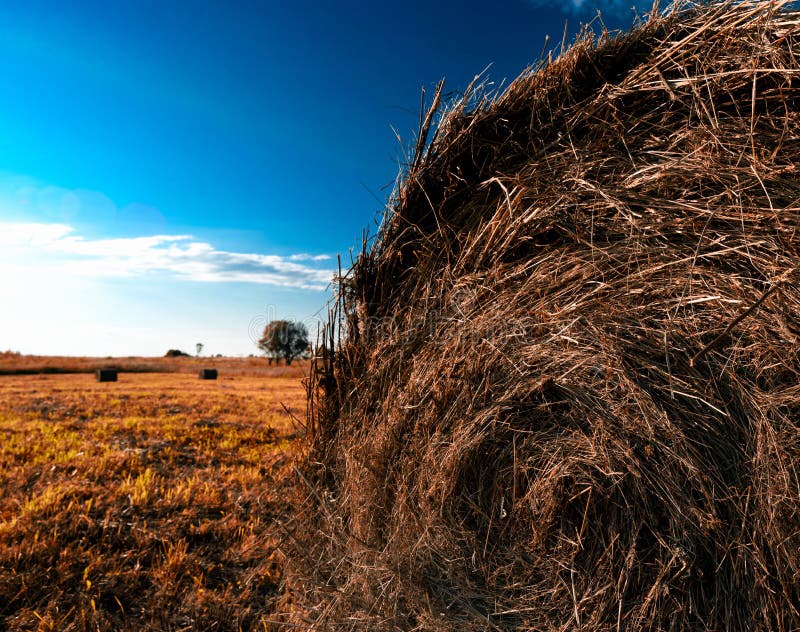 Hayrick stock photo. Image of travel, straws, fall, clouds - 6749162