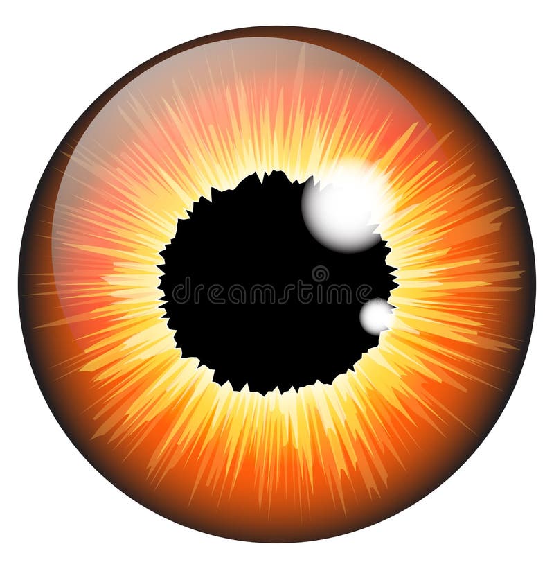 Hazel Eye Clipart