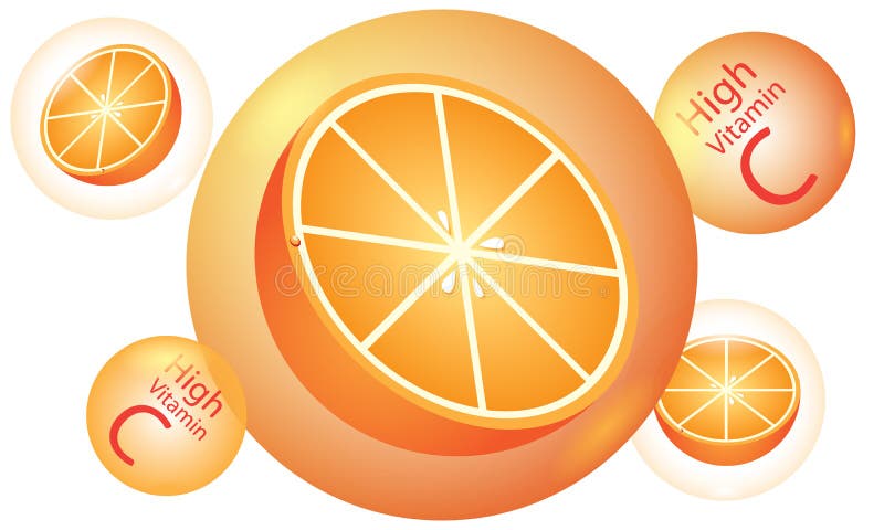 Orange High Vitamin C Vector Stock Vector - Illustration of orange ...
