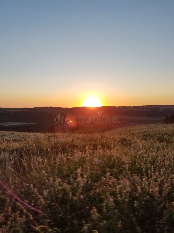 Orange Horizon Sunset Above a Field Stock Photo - Image of field ...