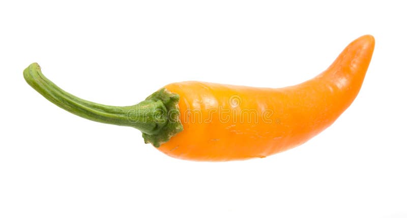 Orange hot chili pepper stock photo. Image of orange - 75910660