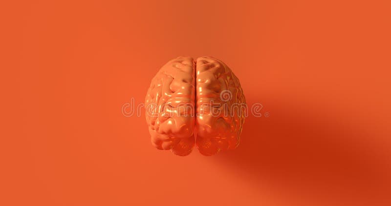 Orange Human Brain Orange Background Stock Illustration - Illustration ...