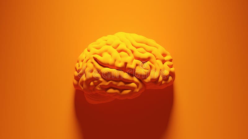 Orange Human Brain Orange Background Stock Illustration - Illustration ...