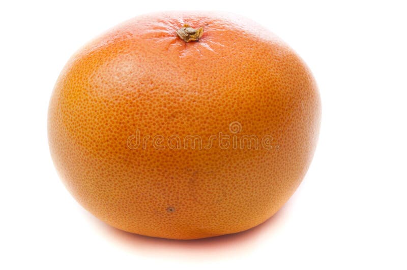Orange hybrid stock image. Image of hybrid, high, view - 17401045
