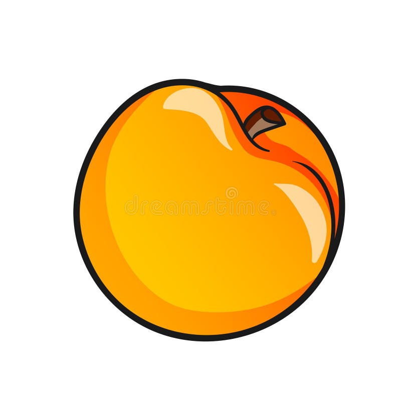 Orange Icon Color Design Vector Stock Vector - Illustration of organic ...