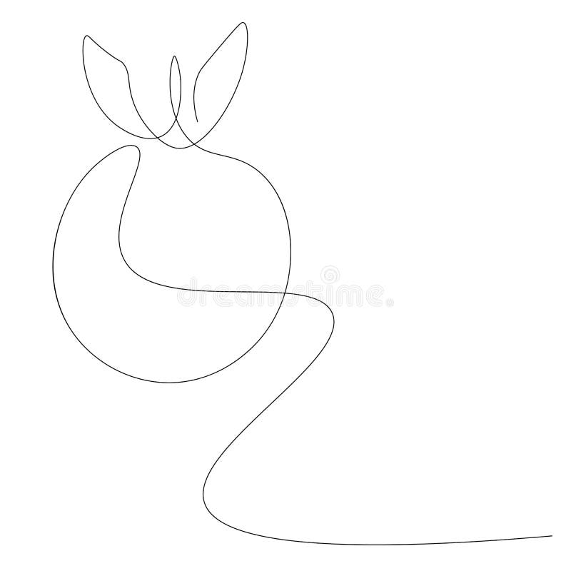 Orange Continuous One Line Drawing, Fruit Vector Illustration Stock ...