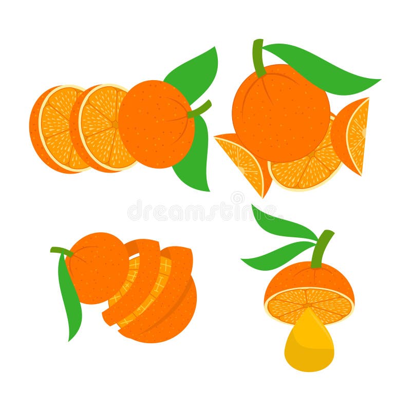 Orange Cross Section Drawing Stock Illustrations – 191 Orange Cross ...