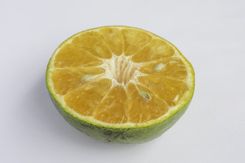 Orange isolate stock photo. Image of sweet, diet, organic - 57033430