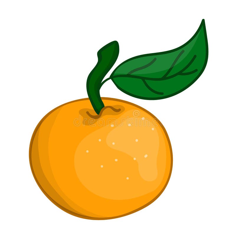 Orange illustration stock vector. Illustration of harvest - 31729428