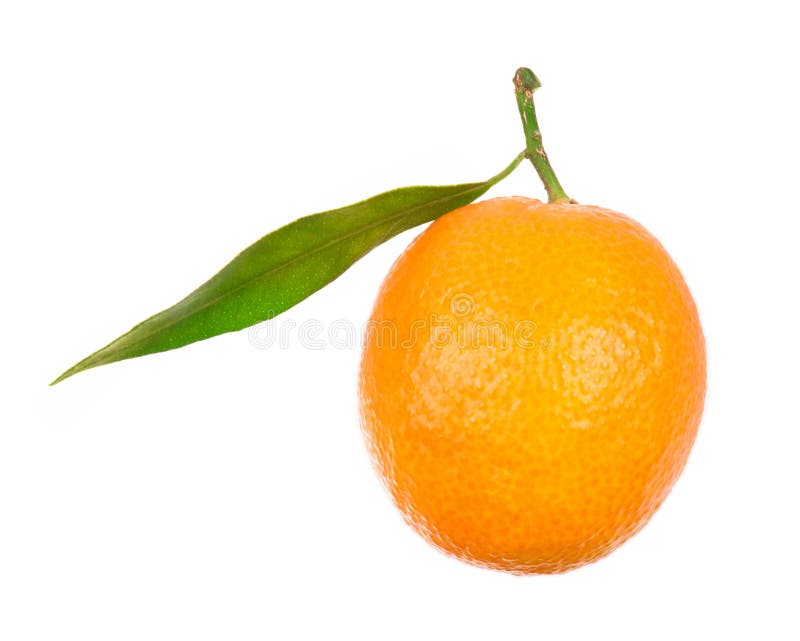 Orange isolated on white stock photo. Image of light - 29687148