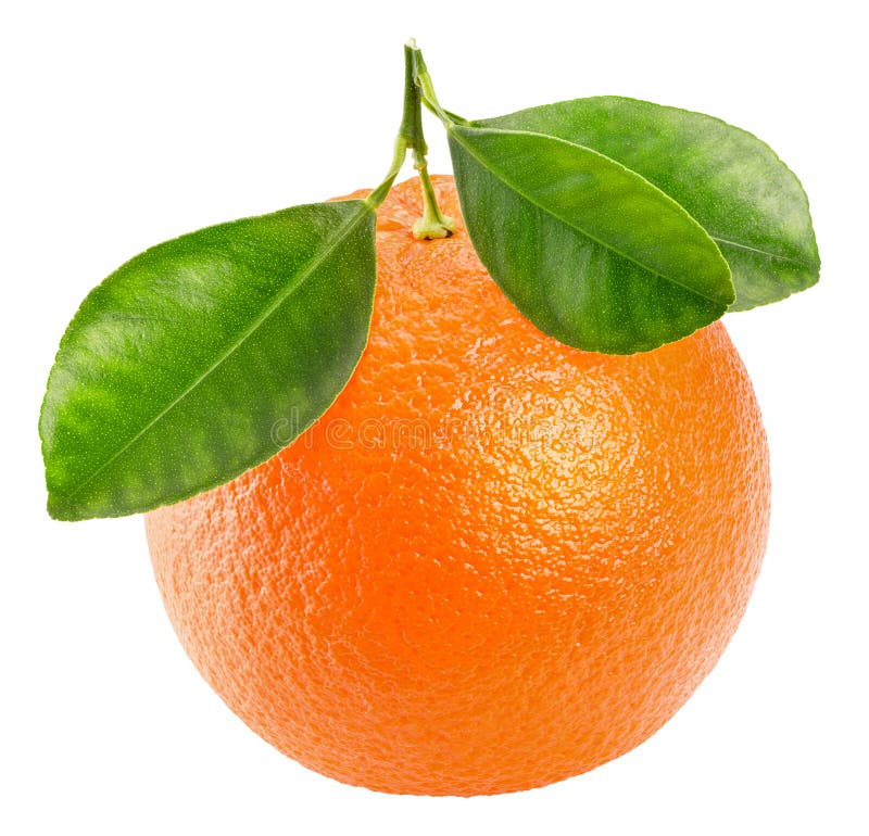 Orange Isolated on a White Background Stock Image - Image of orange ...