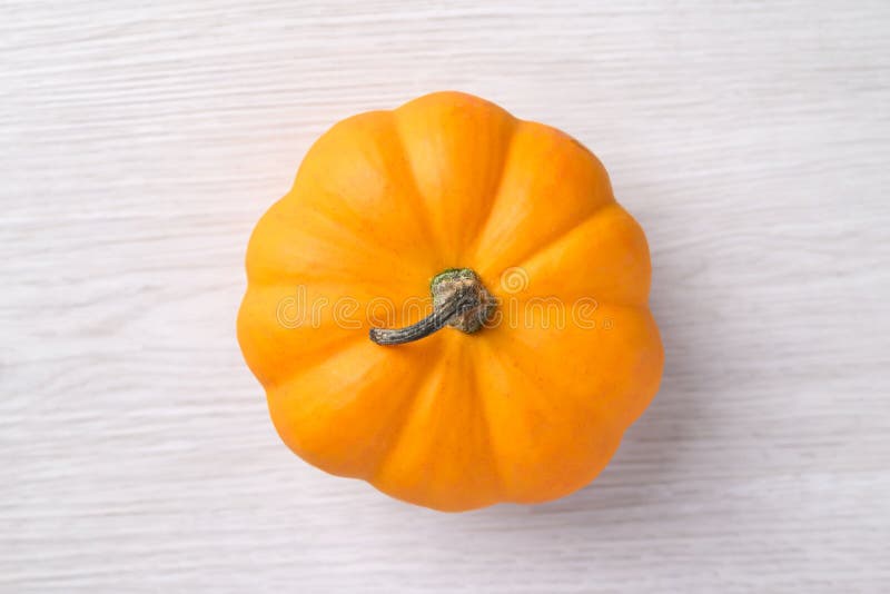 Orange Jack Be Little Pumpkin on White Background Stock Image - Image ...