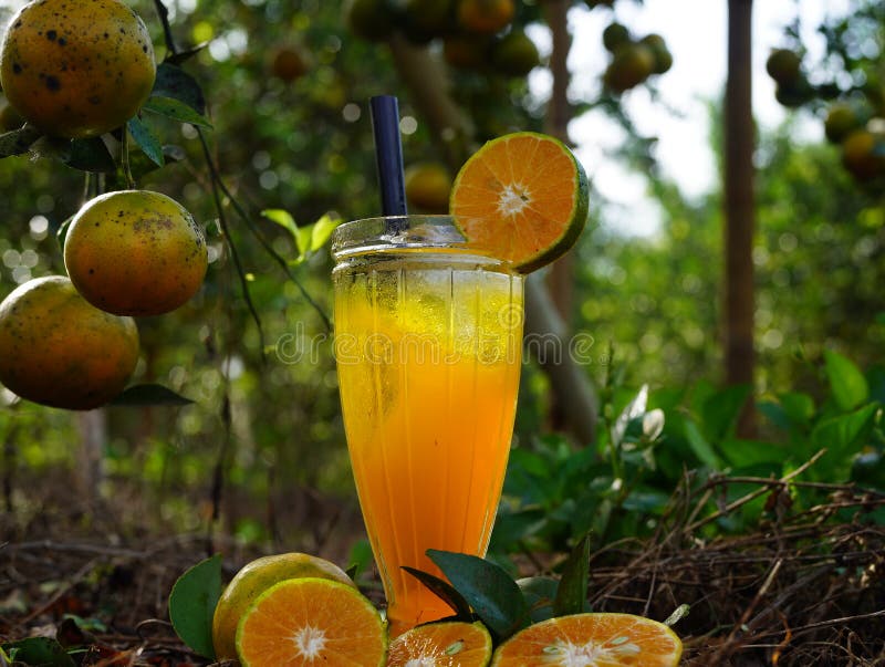 Orange Jus stock photo. Image of like, fresh, indonesia - 249227552