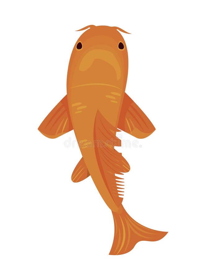 Orange koi fish stock vector. Illustration of eastern - 224565613
