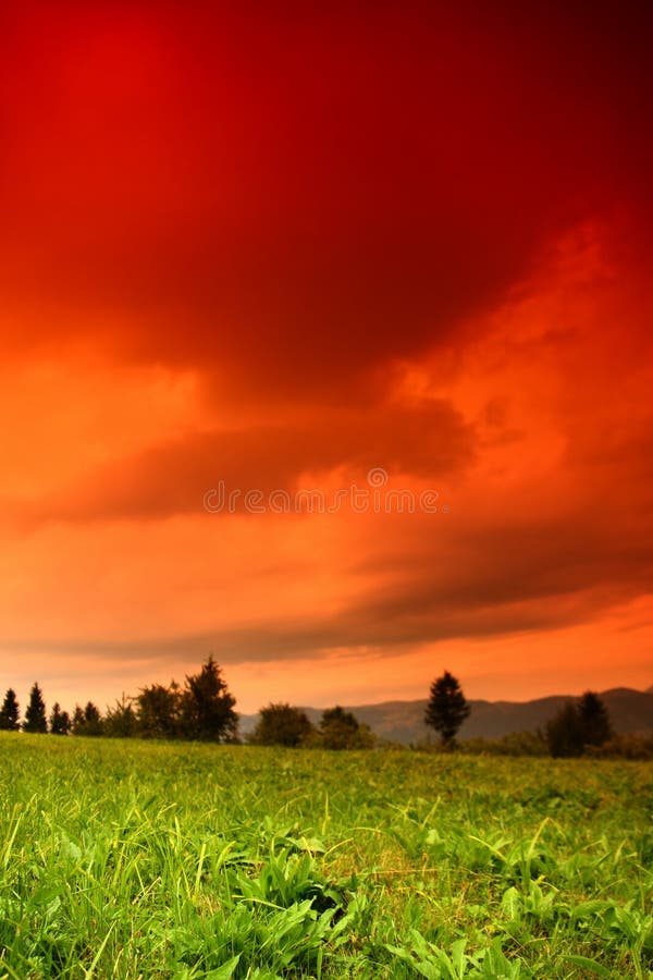 Orange landscape stock image. Image of tranquil, field - 10692657