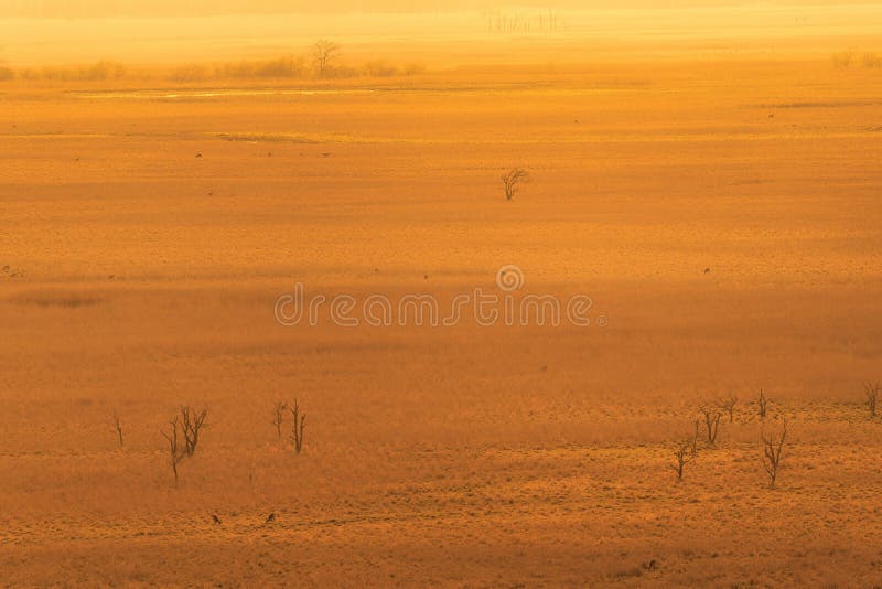 Orange Landscape at Sunset Lost in Dust Stock Image - Image of nature ...