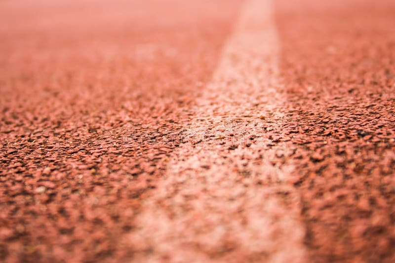 Orange lane stock image. Image of plant, closeup, texture - 44258487