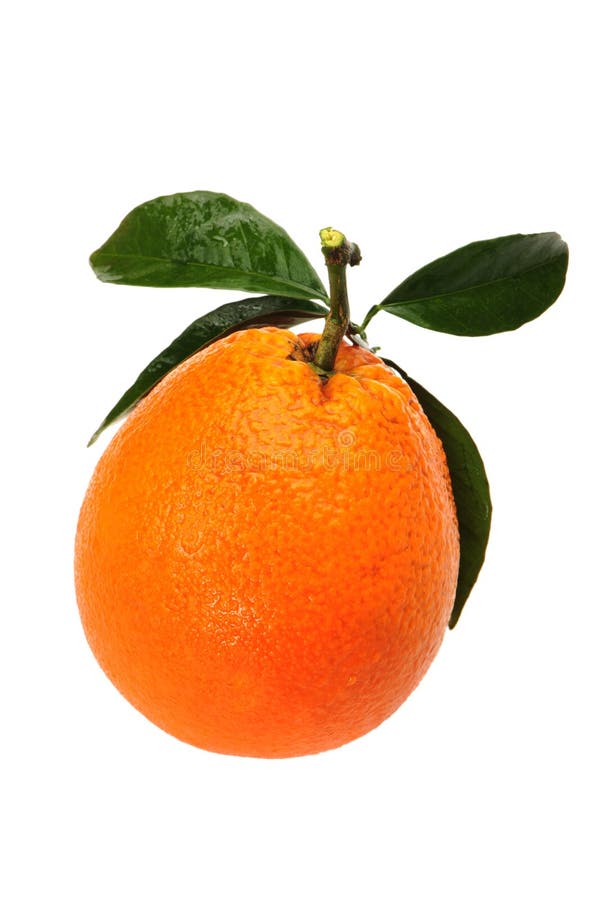 ORANGE with LEAF stock image. Image of vibrant, food - 26518545