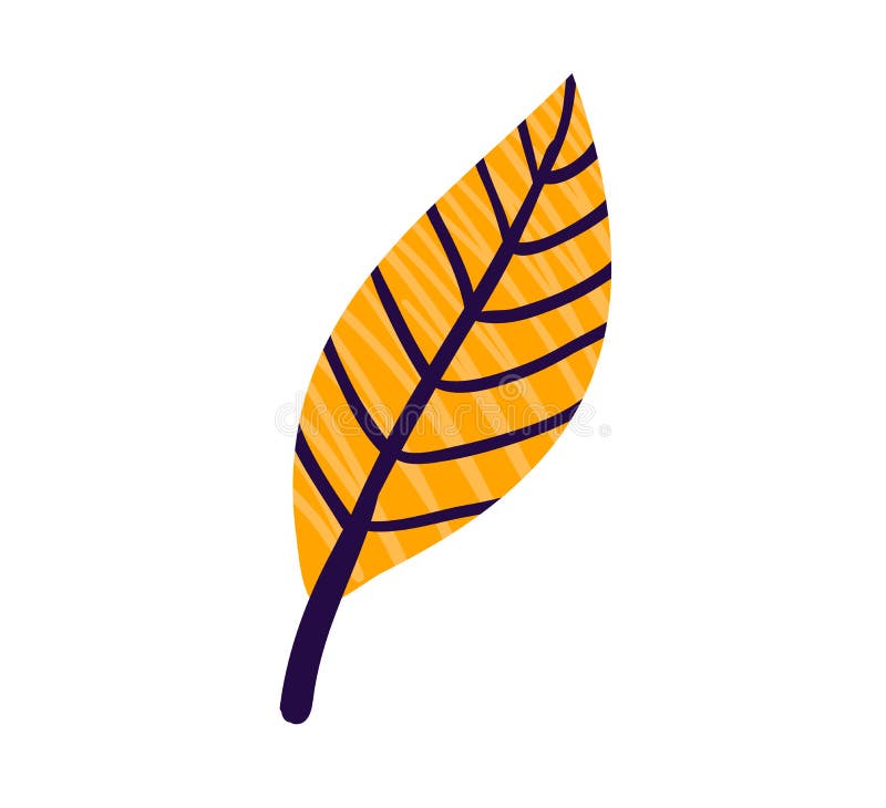 Orange Leaf Autumn, Concept Fallen Leaflet from Fall Tree, Single Drawn ...