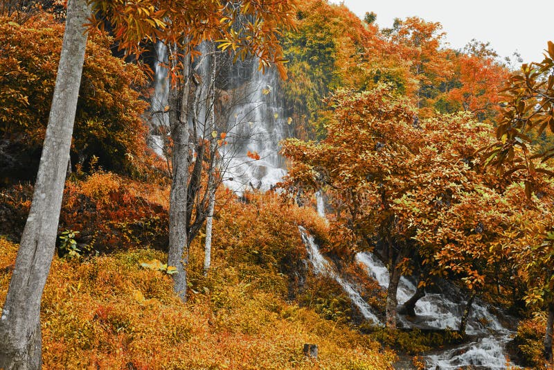 Orange leaf and waterfall. stock photo. Image of orange - 78652830