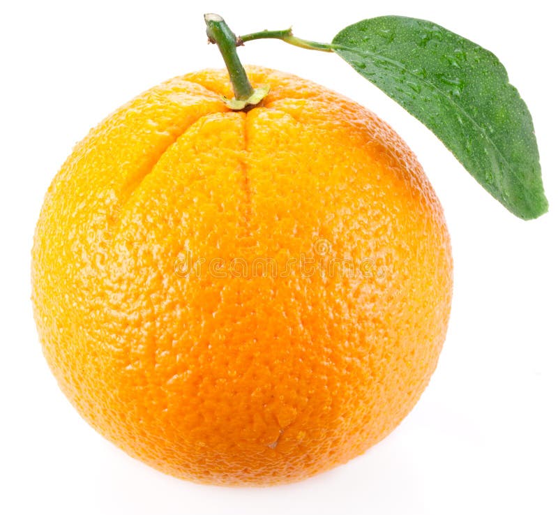 Orange with leaf. stock photo. Image of color, fruity - 30860588