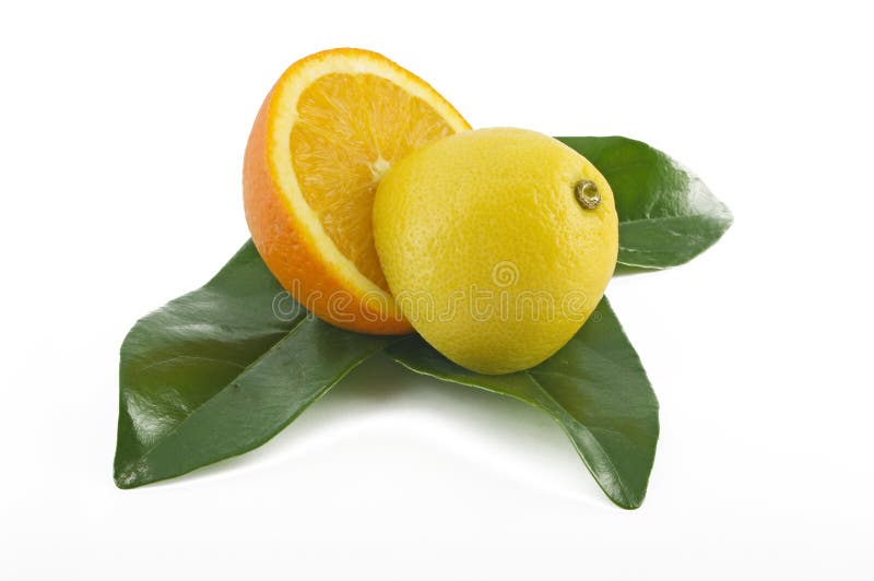 Orange and lemon stock photo. Image of food, lemon, sweet - 22565514
