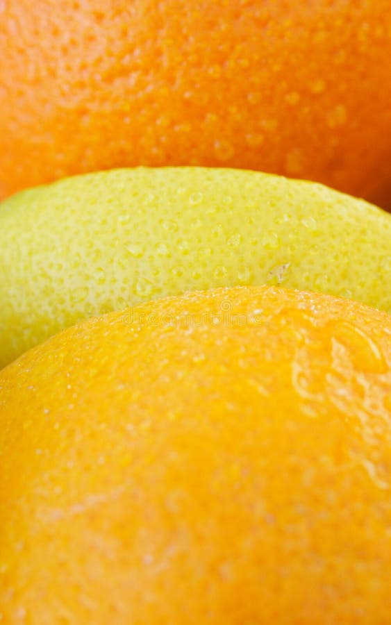 Citrus Fruit Display with Oranges, Lemons, Limes Stock Photo - Image of ...