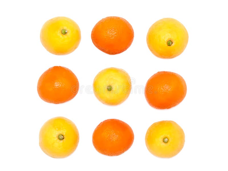 Orange and lemon fruits stock photo. Image of food, fruit - 40295706