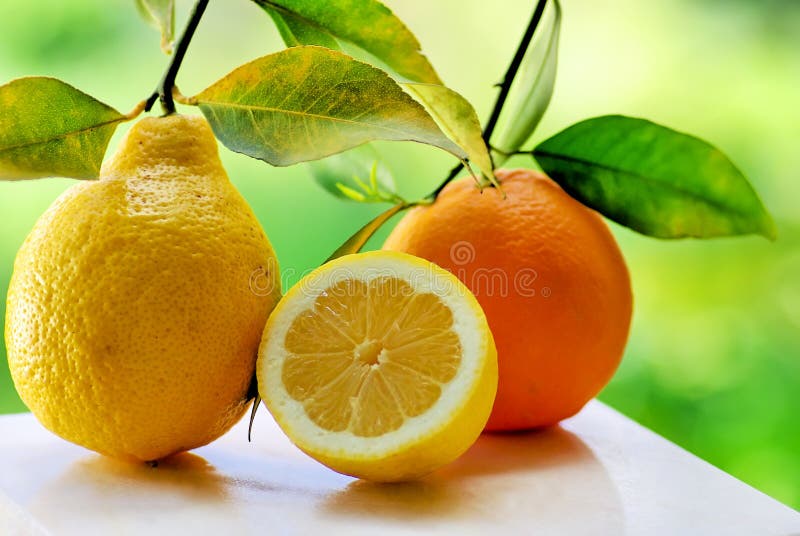 Orange and lemon slice. stock photo. Image of juice, group - 18869902