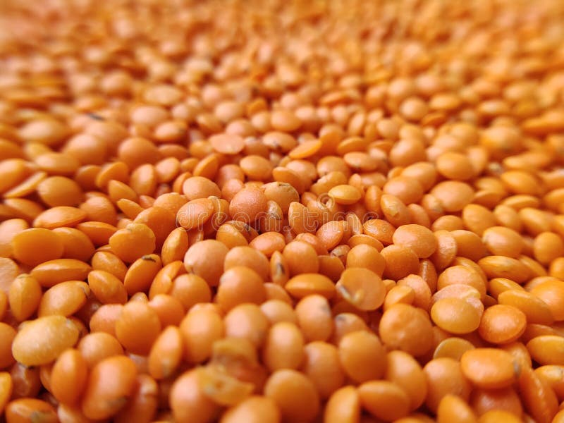 2,567 Dal Texture Stock Photos - Free & Royalty-Free Stock Photos from ...