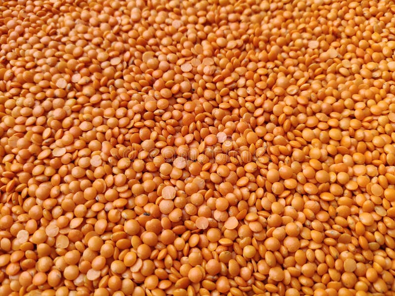 Masoor Ki Daal Red Orange Lentils Food Pulses Grains Raw Food Stock ...