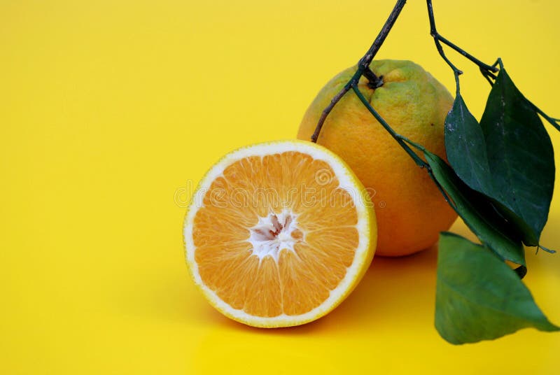 Orange in Life stock photo. Image of rangpur, peel, grapefruit - 7390414