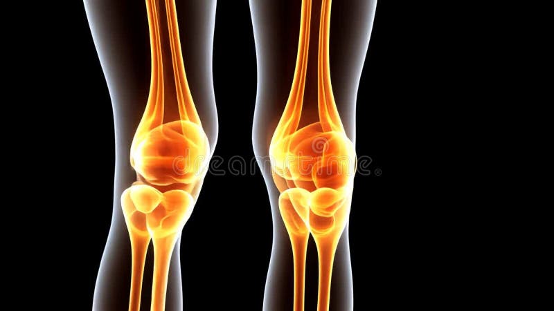 Human Knees Glowing with Orange Light, Revealing Skeletal Structure in ...