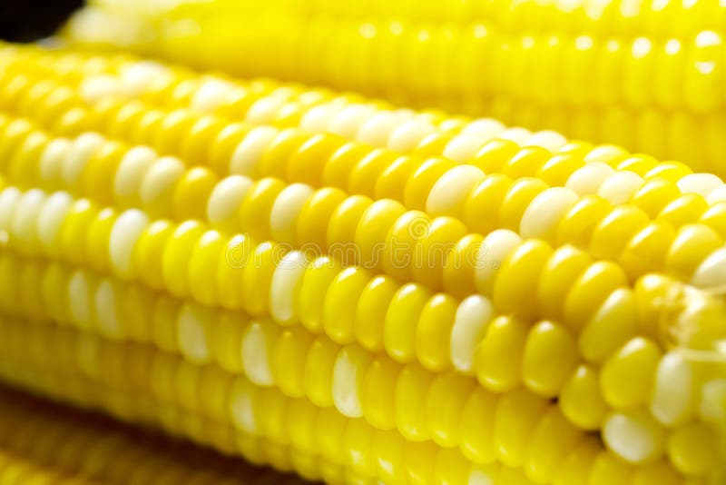 Orange with Light Pink Polka Dots Pattern or Checked Pattern and Light ...