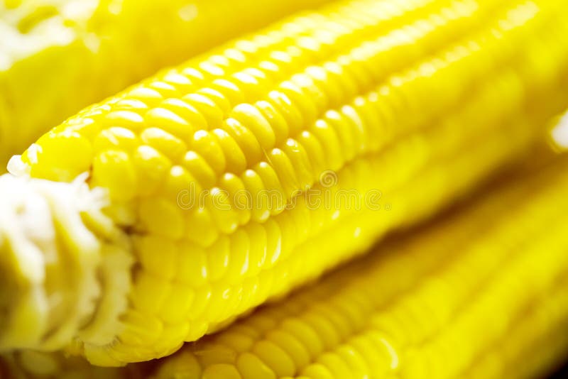 Orange with Light Pink Polka Dots Pattern or Checked Pattern and Light ...