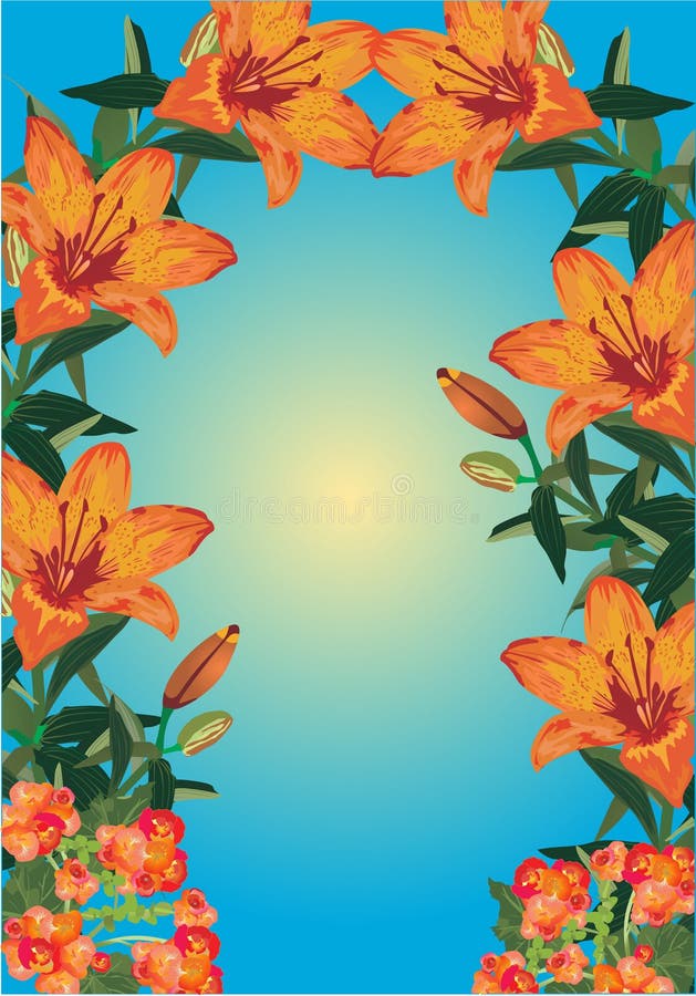 Lily frame stock illustration. Illustration of border - 25714436