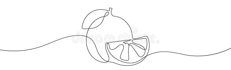 Orange Line Art Drawing. Continuous Line Drawing of Orange Stock Vector ...