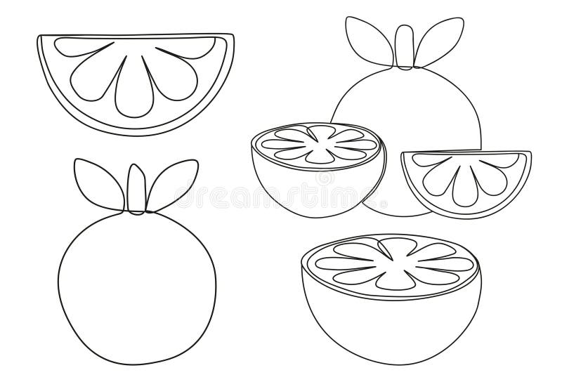 Contour Whole Orange with Leaves, Orange Slice and Cut Orange Fruit ...