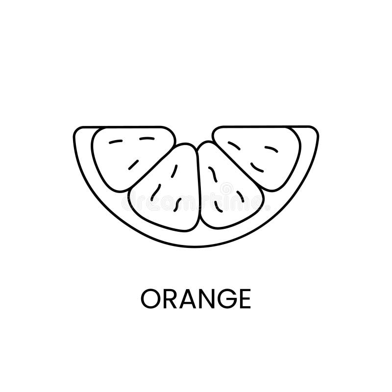 Orange Line Icon in Vector, Citrus Fruit Illustration Stock Vector ...