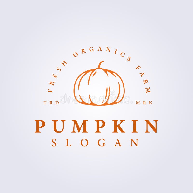 Orange Line Pumpkin Logo Vector Illustration Design Stock Illustration ...