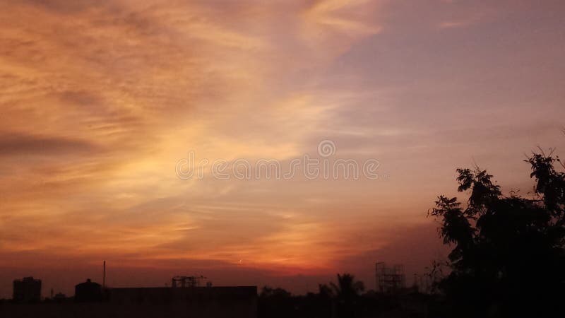 Orange Lit Dusky stock photo. Image of tree, morning - 206665500