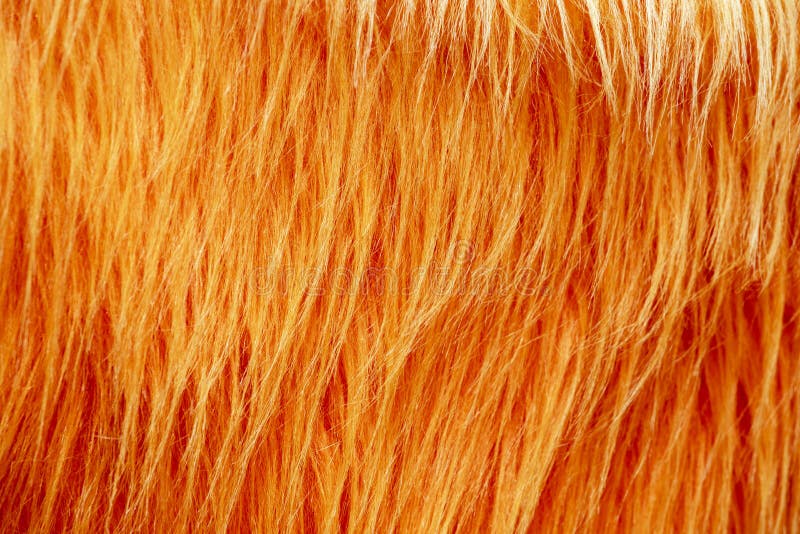 Orange Long Fur on the Texture Surface. Horizontal Stock Photo - Image ...