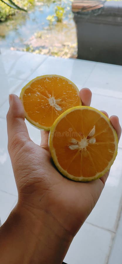 An Orange that Looks Sweet when Split in Half Stock Photo - Image of ...