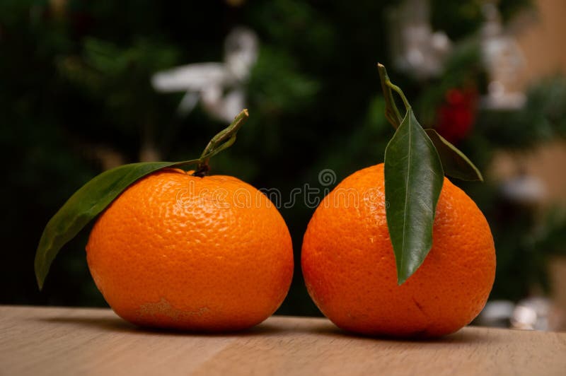 Orange Mandarin on Christmas Tree Background Stock Photo - Image of ...