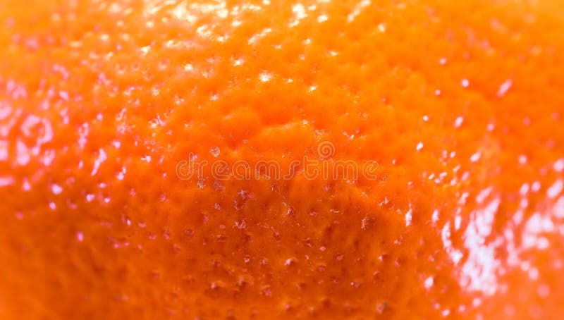 Orange mandarin skin close stock image. Image of peel - 135772879
