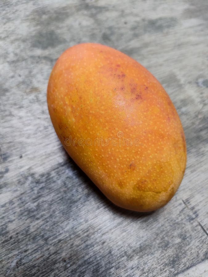Orange manggo fruit stock photo. Image of fruit, orange - 259833892