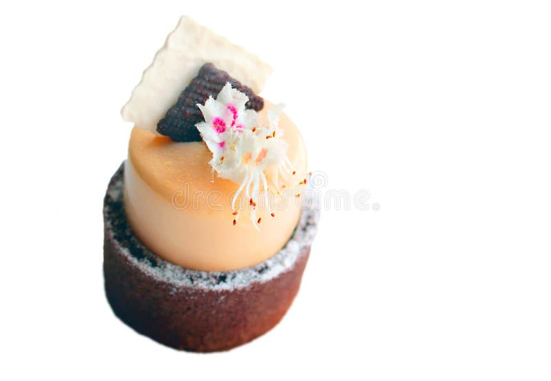 Orange Mango Spring Dessert with Chocolate Sponge Border and Fresh ...