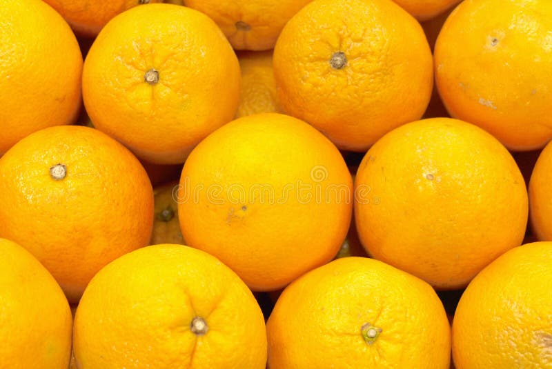 Orange stock photo. Image of oranges, moisture, foods - 36678458