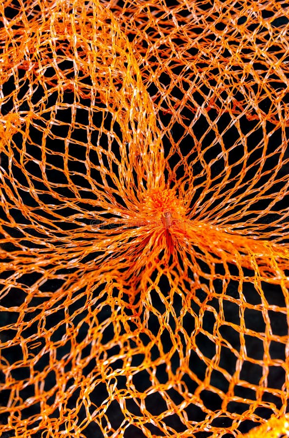 Orange packing mesh stock photo. Image of filament, meshes - 144755324