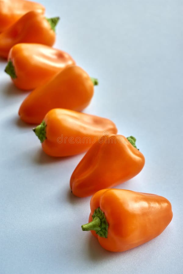 Orange Mini Bell Peppers on Blue Stock Photo - Image of ingredient ...